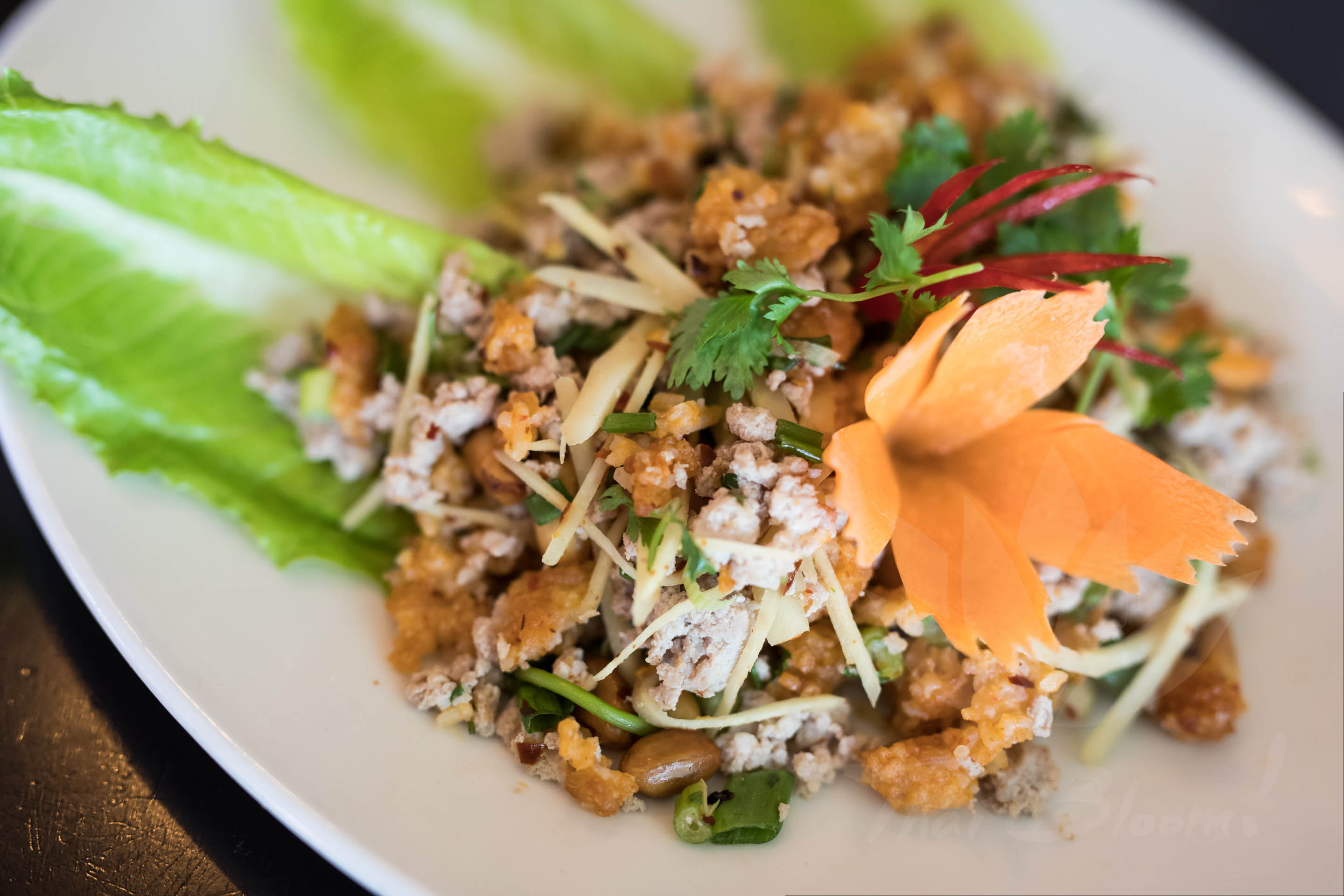 Yum Khao Tod - Thai Bloom!